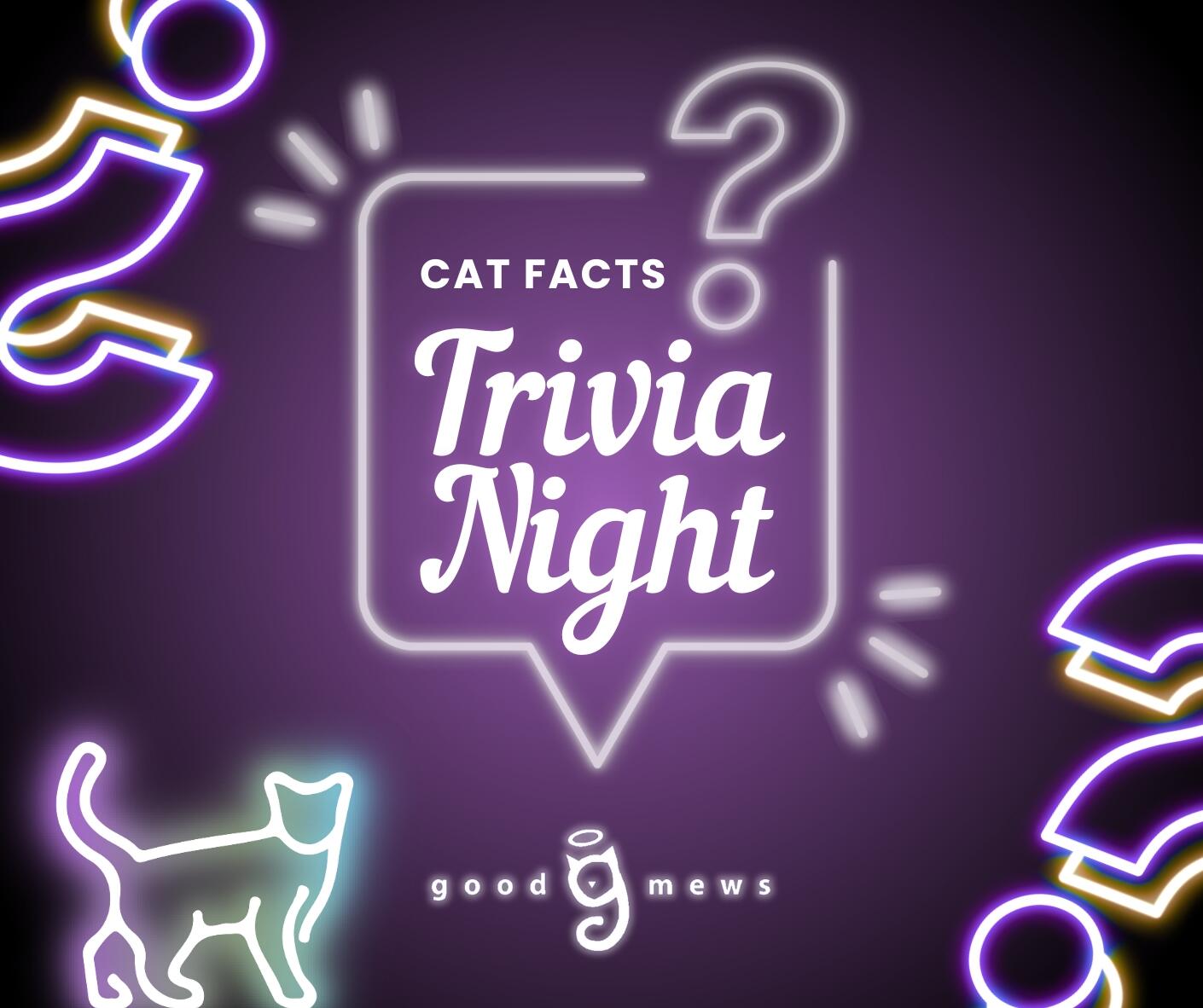 Donate at Cat Facts Trivia Night