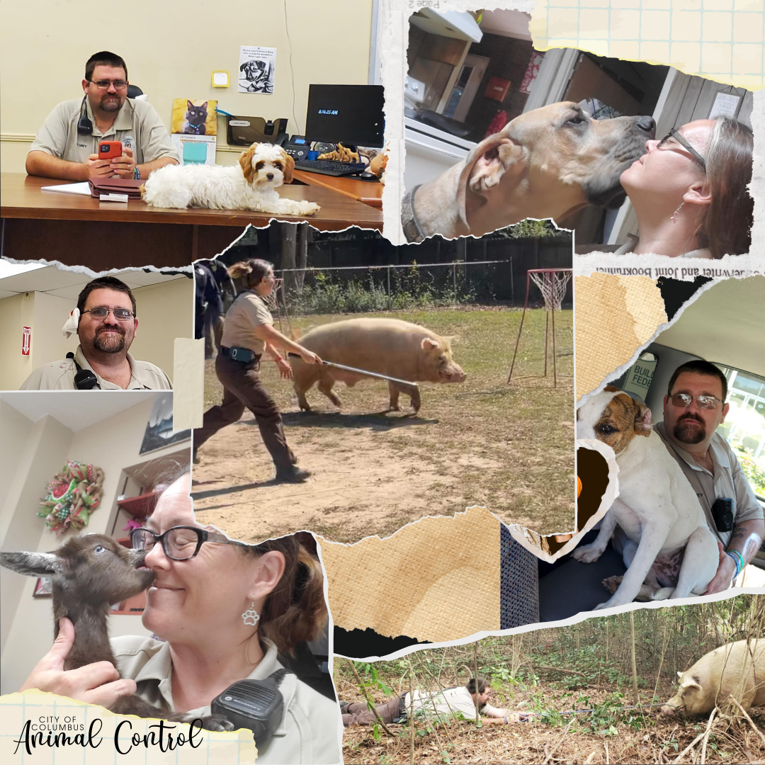 Columbus Animal Control Paw it Forward