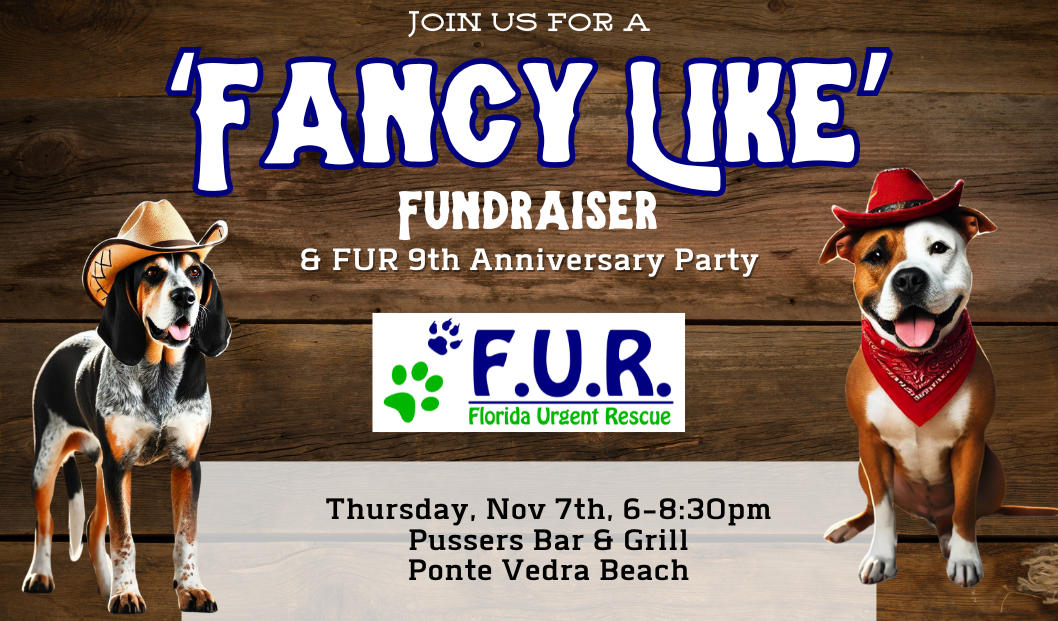 FUR 'Fancy Like' Fundraiser & 9th Anniversary Party | Florida Urgent ...