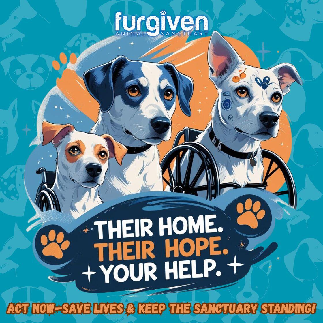 Act Now! Save Lives & Keep Furgiven Standing!
