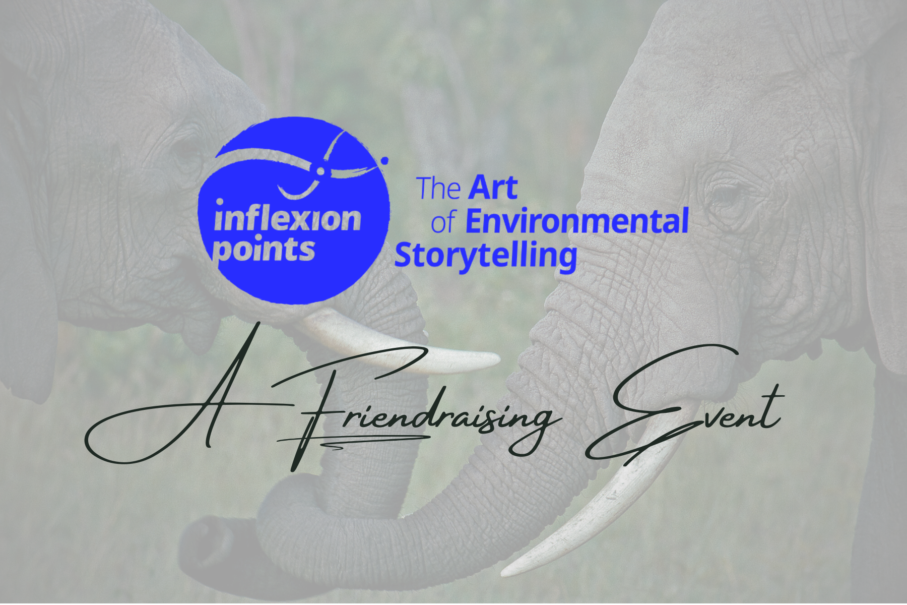 Celebrating The Launch of Inflexion Points: The Art of Environmental ...