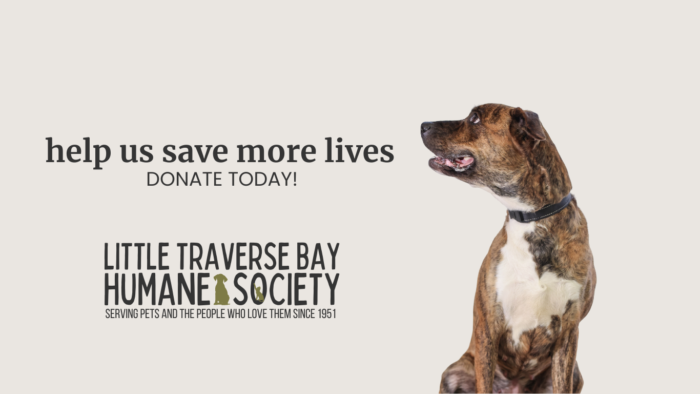 Donate to Little Traverse Bay Humane Society today!