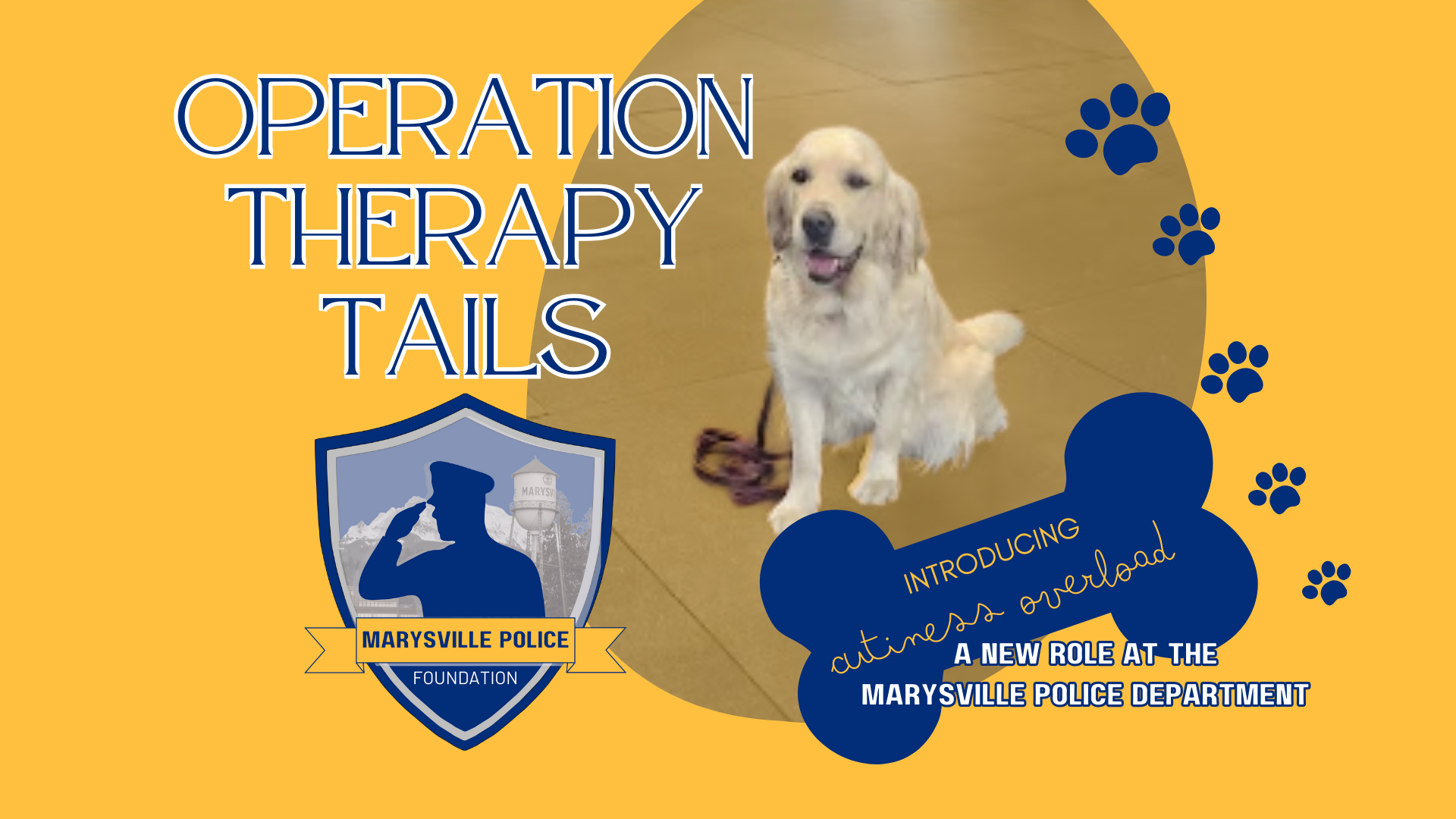 Operation Therapy Tails