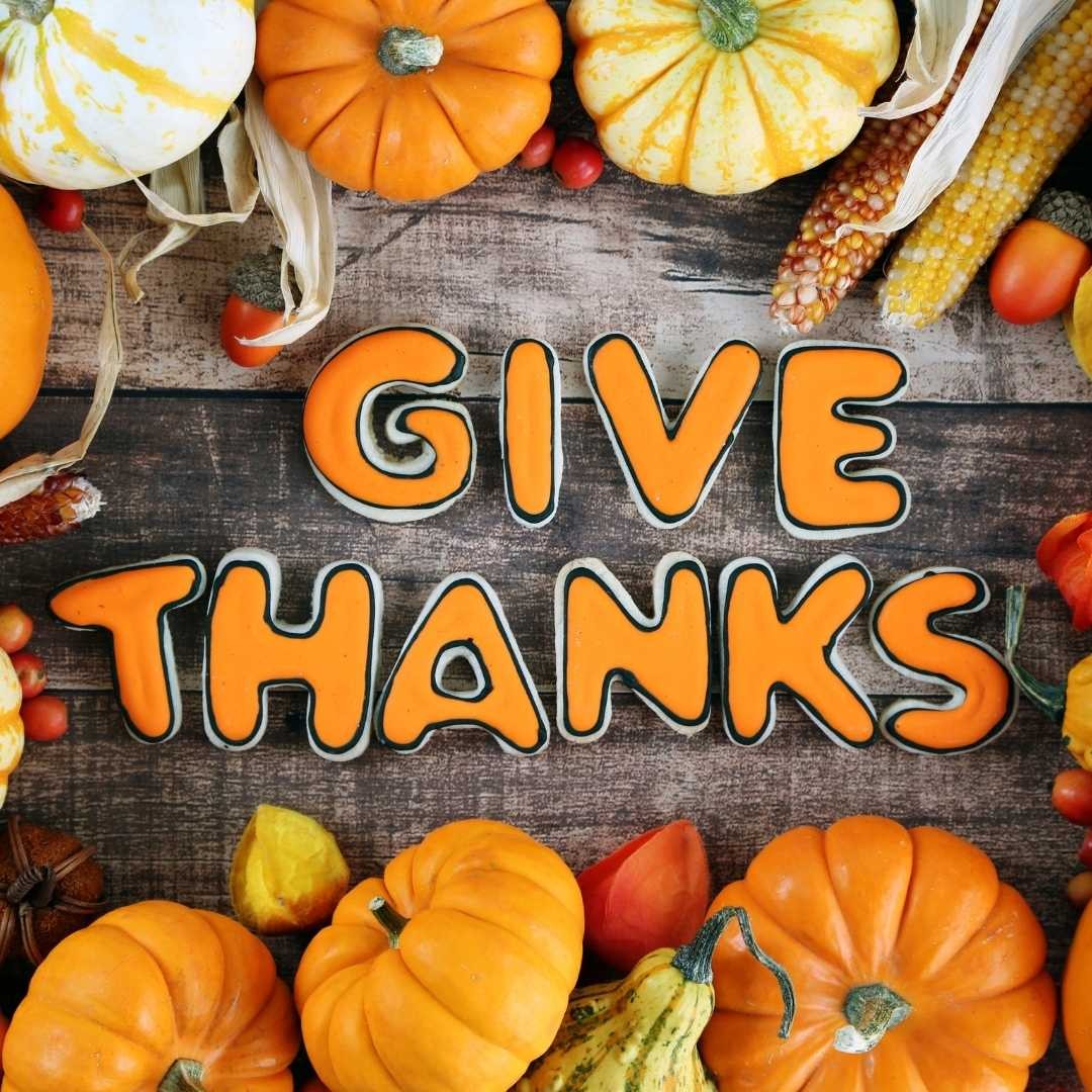 Pingry Thanks-for-Giving Virtual Turkey Drive! | Meeting Essential ...