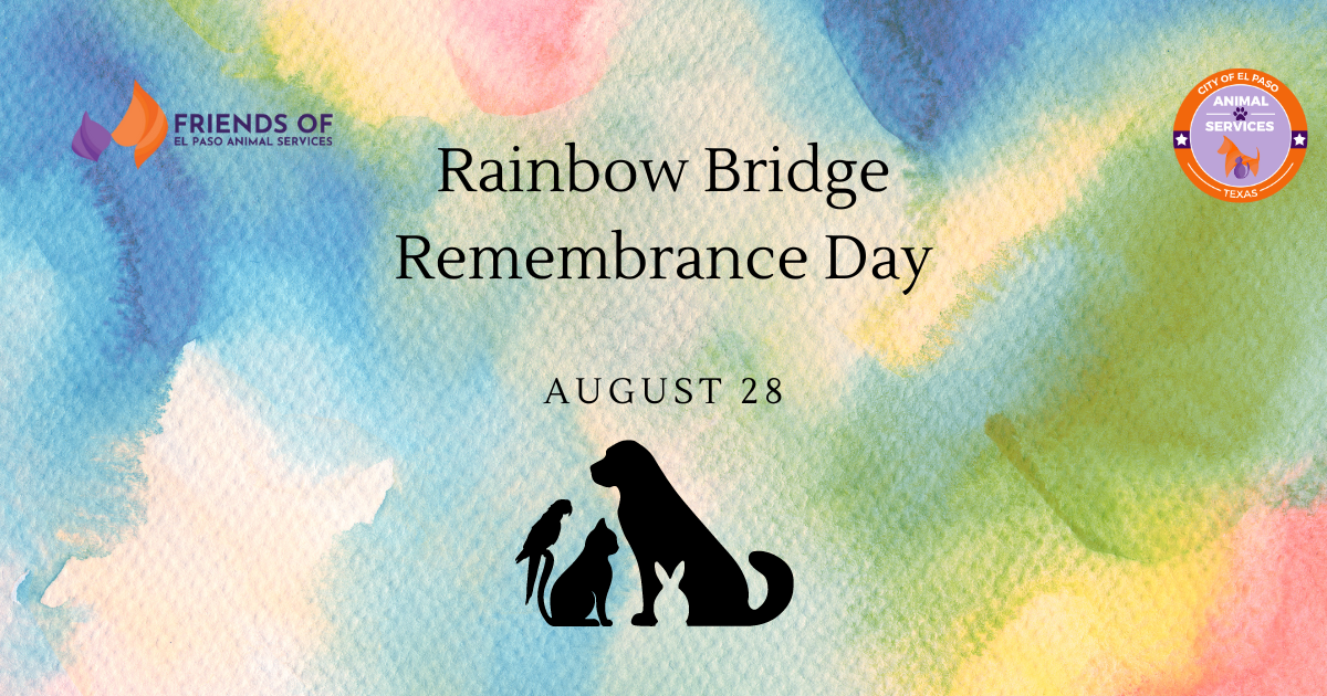 Rainbow Bridge Remembrance