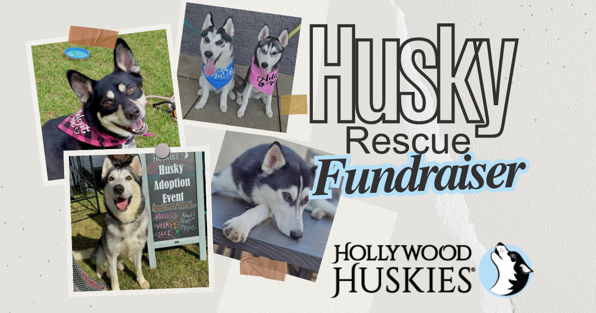 Hollywood Huskies end of year fundraiser