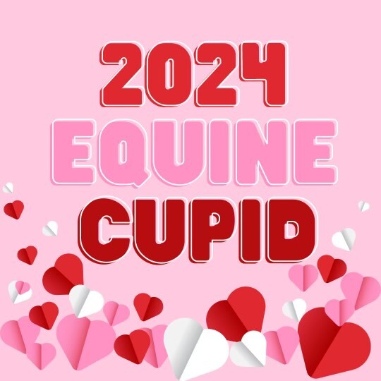 2024 ATS Equine Cupid