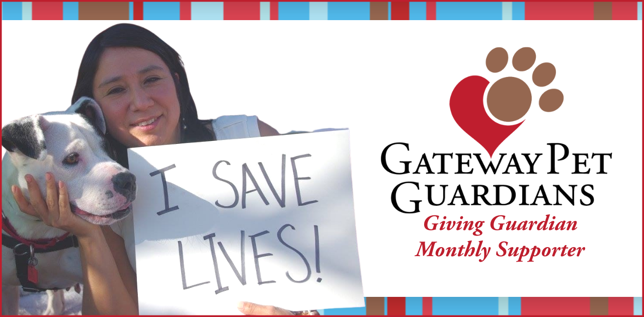Gateway Pet Guardians' Giving Guardian monthly gift program