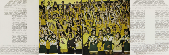 BG Class of 2010- 15 year Reunion | Bishop Guertin High School