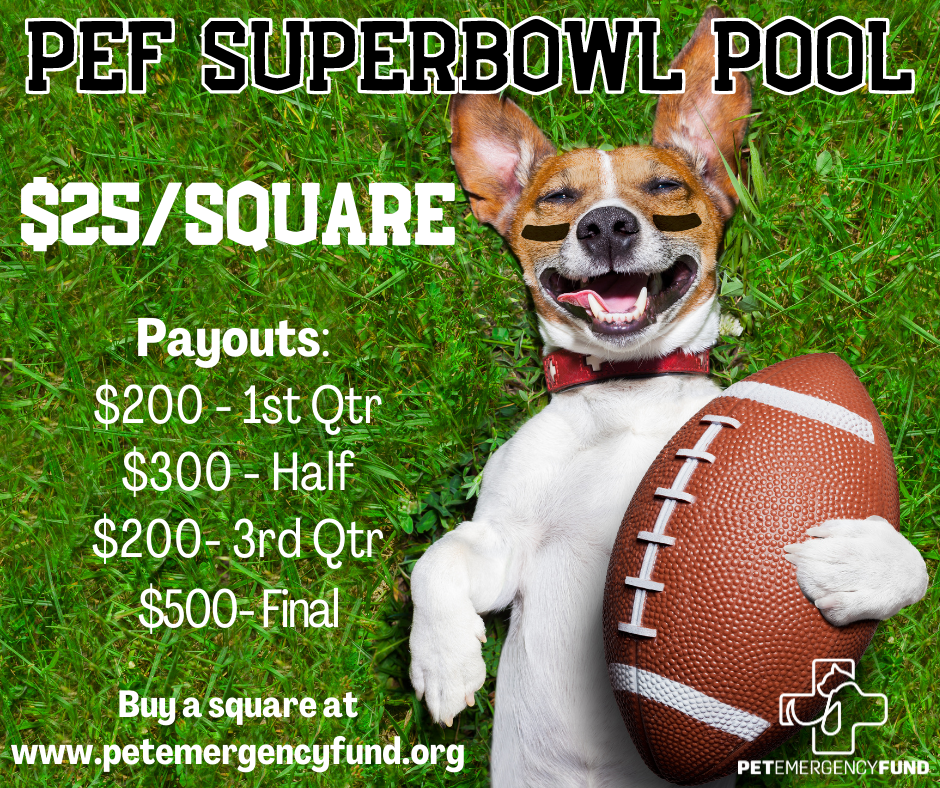 Super Bowl Squares For The PEF