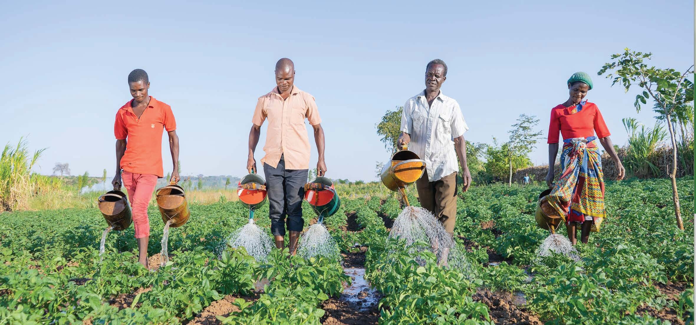 Sow the Seeds of Food Security and See the Harvest of Economic ...
