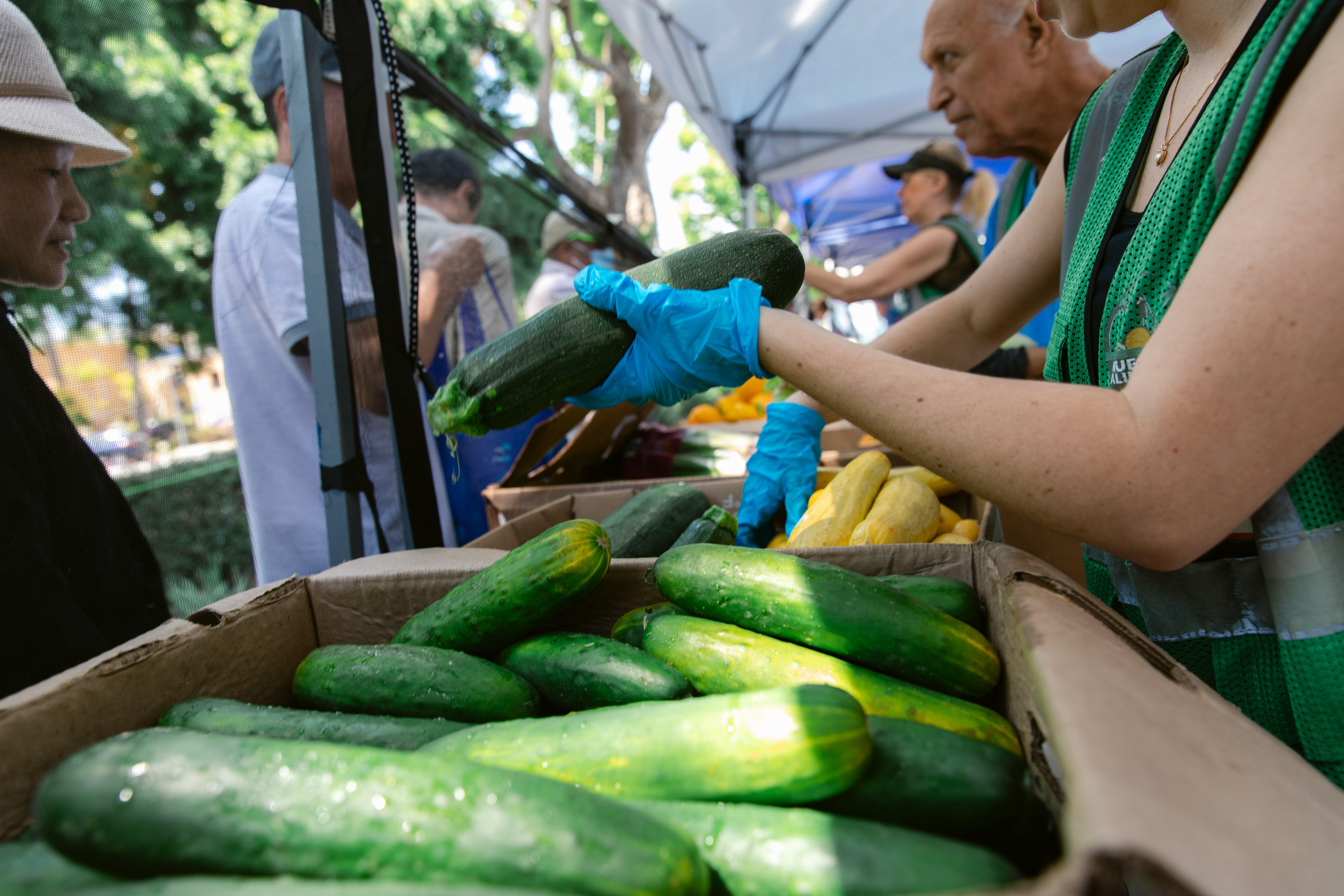 Feed People, Not Landfills 2026 | Foodcycle