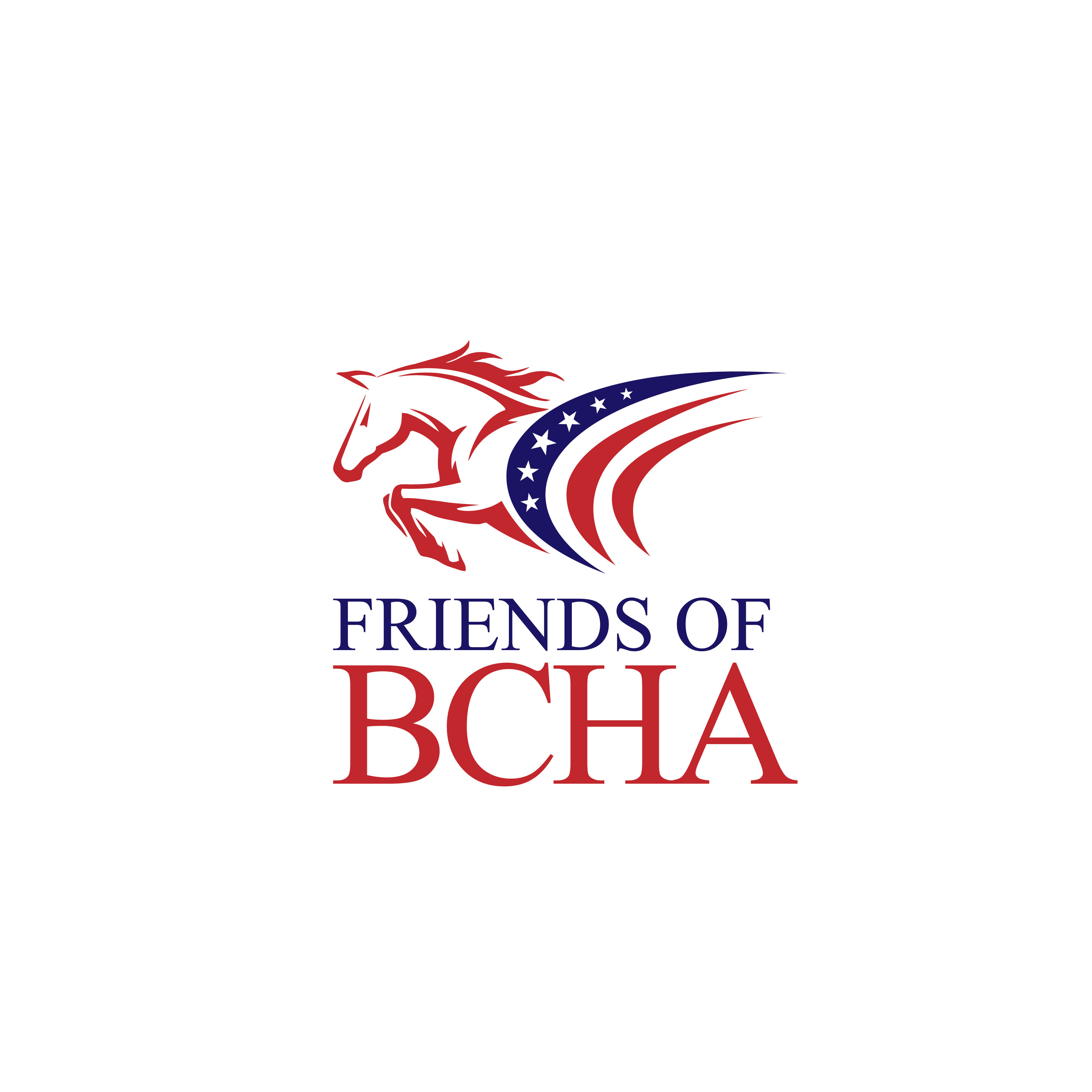 Friends of BCHA 1 Year Anniversary
