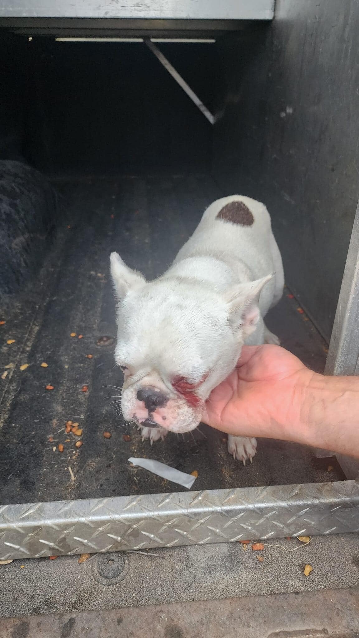 Wiggle Butt Wednesday