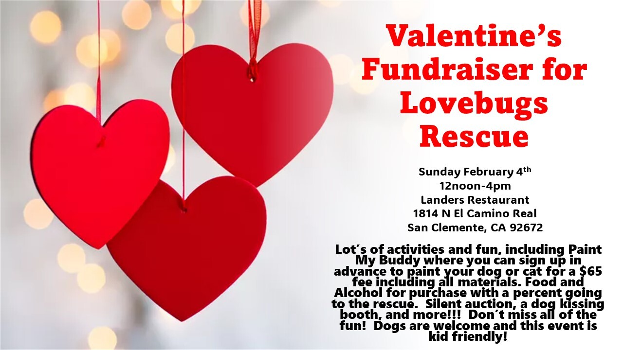 Canines & Cupids Valentine's Fundraiser For Lovebugs Rescue