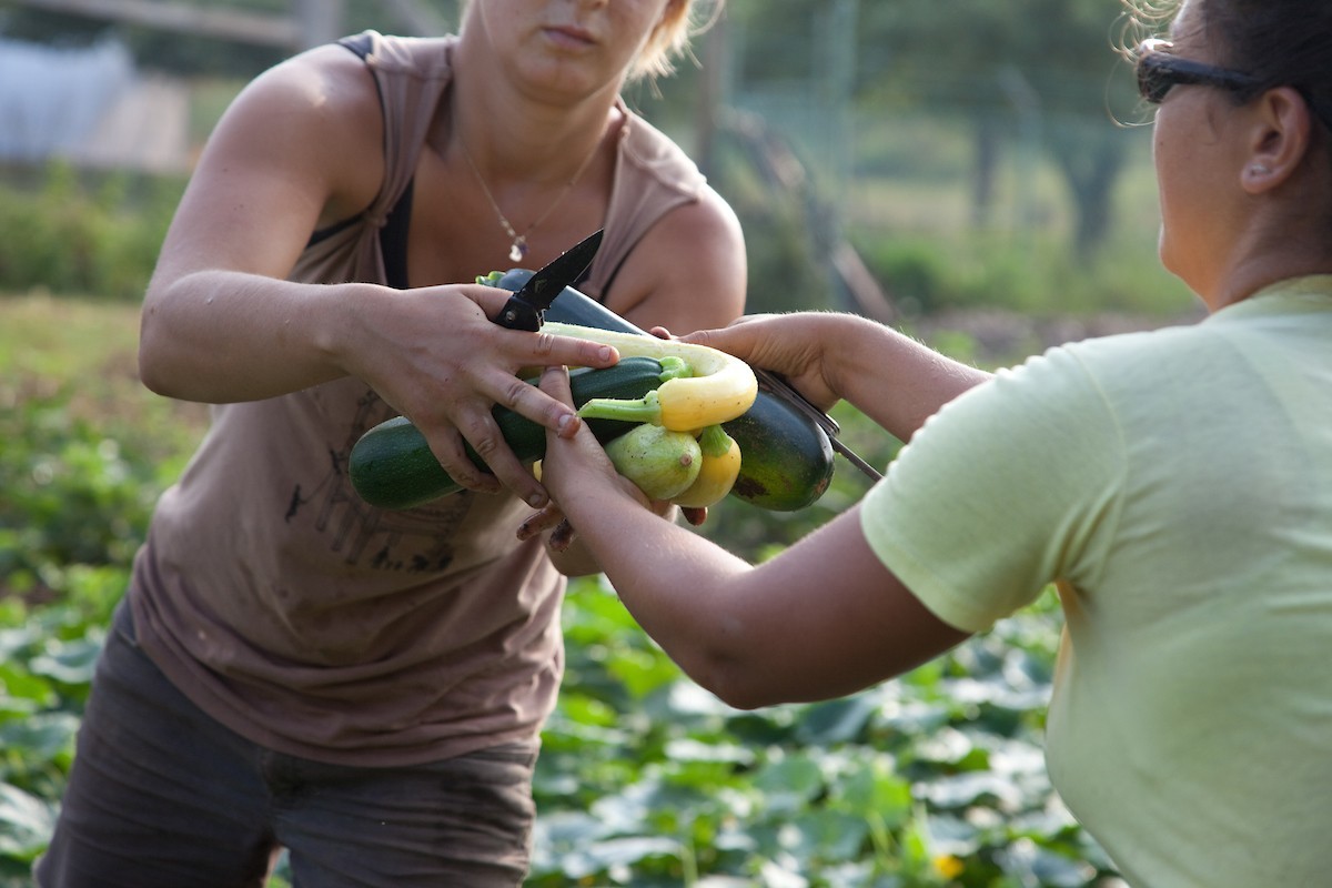 Support Regional Food Sovereignty Glynwood Center For Regional Food
