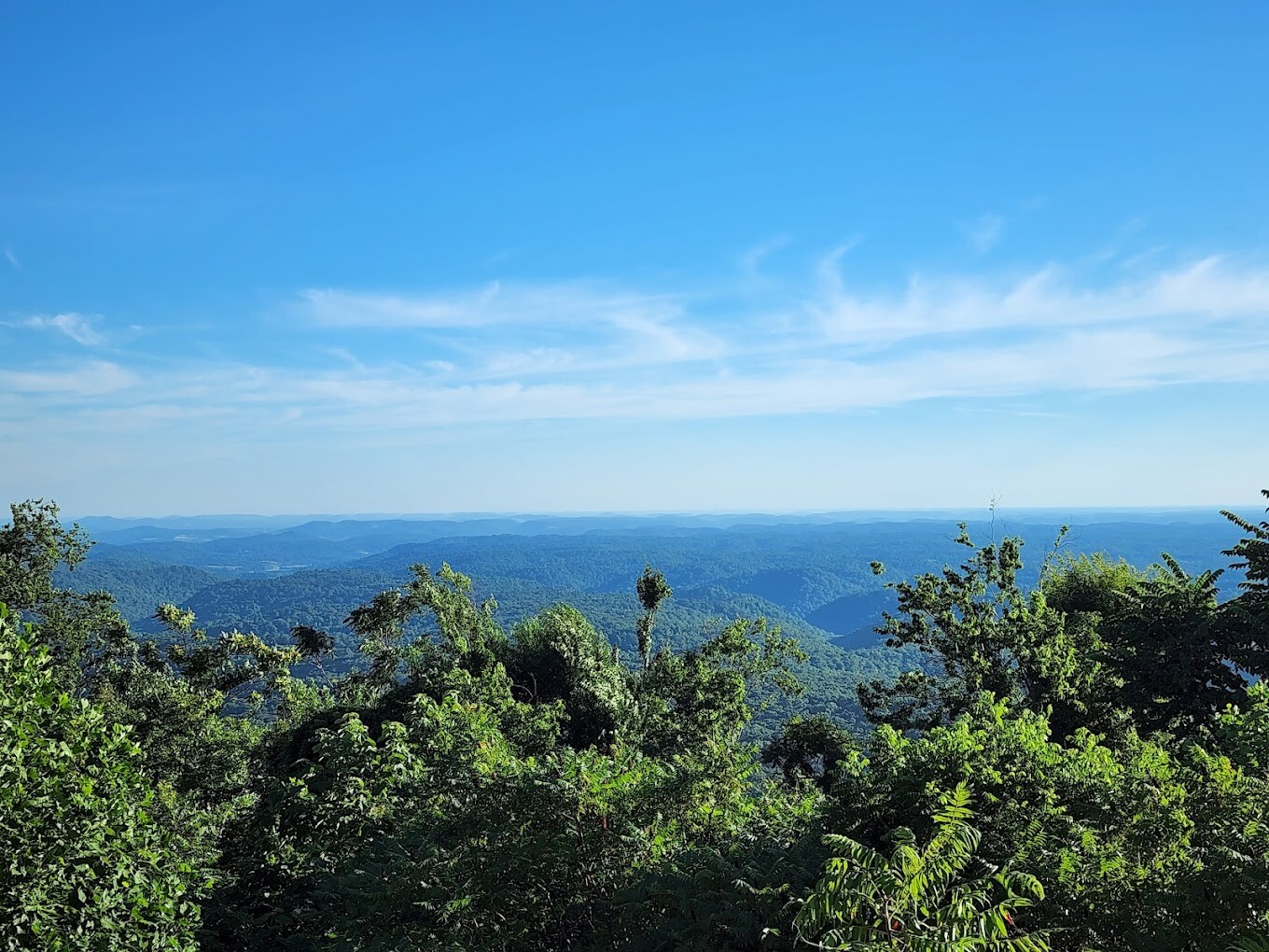 Scholarship Challenge for Short Mountain Bible Camp