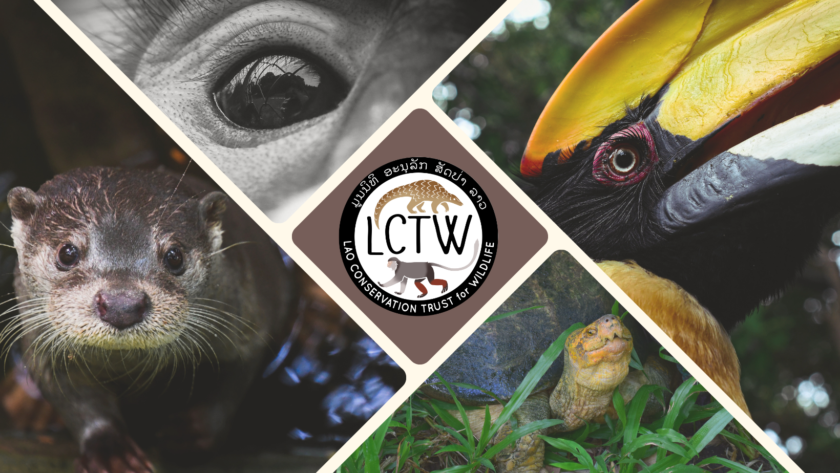 Save LCTW. Save Wildlife. | Lao Conservation Trust for Wildlife