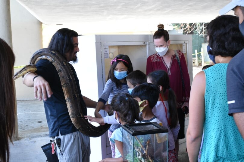 Transform Ordinary into Extrodinary! | ECOVIVARIUM