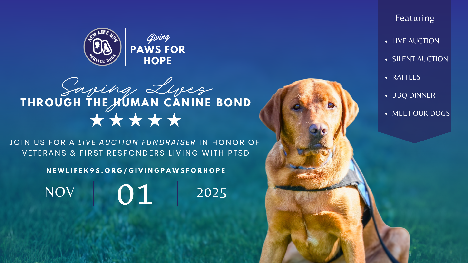 Giving Paws for Hope 2025 | Son Care Foundation