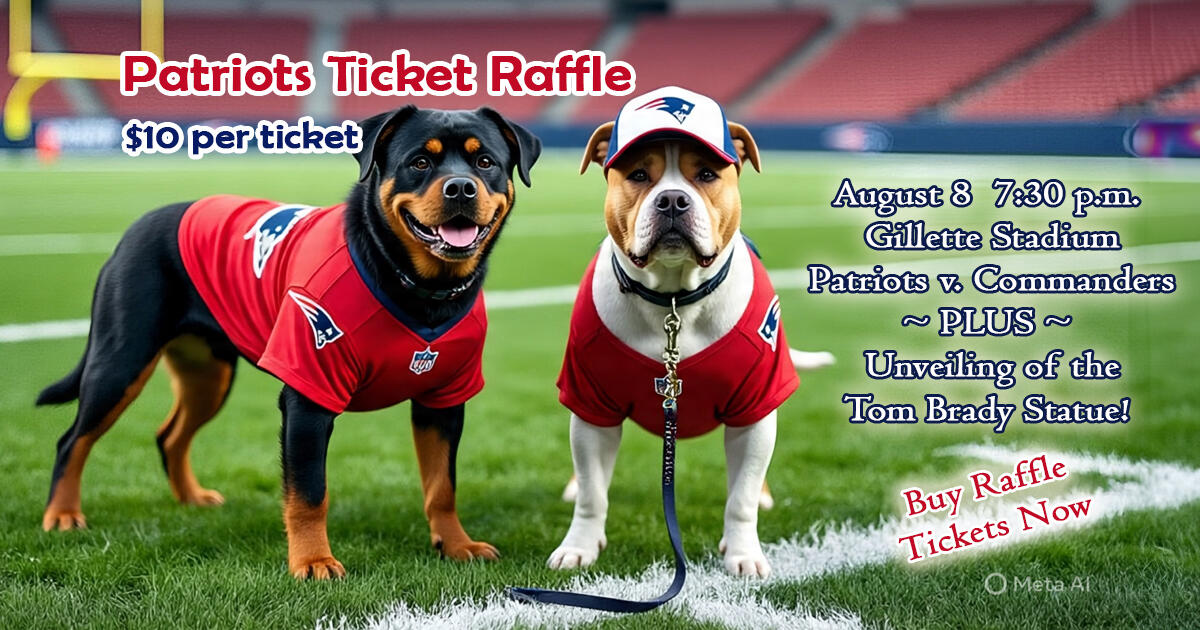 Patriots Game Tickets Raffle | For the Love of Dog Rottweiler Rescue