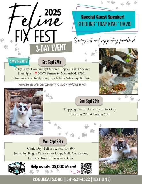 Feline Fix Fest