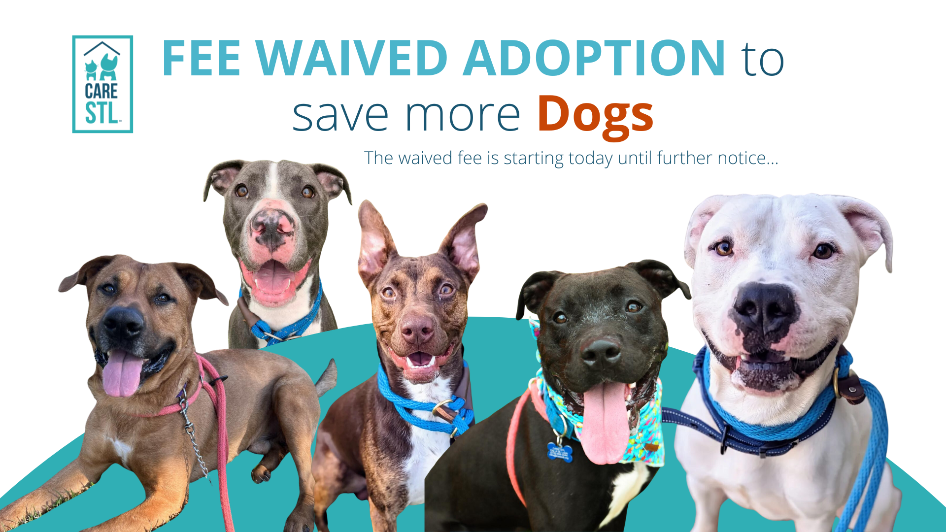 CARE STL 6 years and counting!