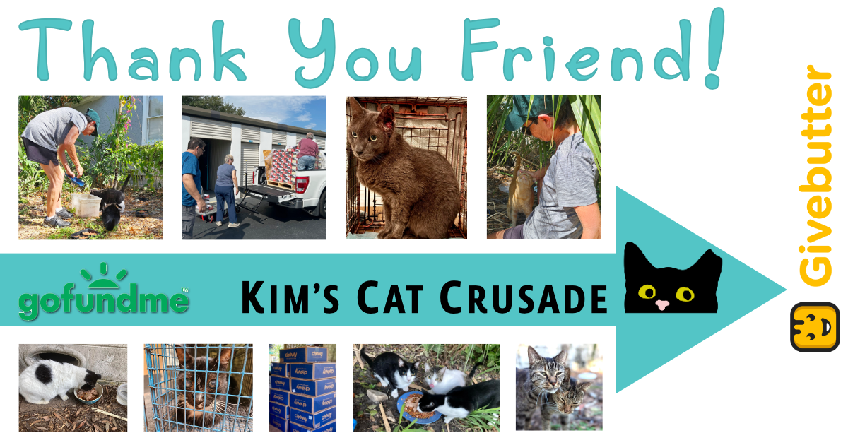FOLLOW Kim's Cat Crusade