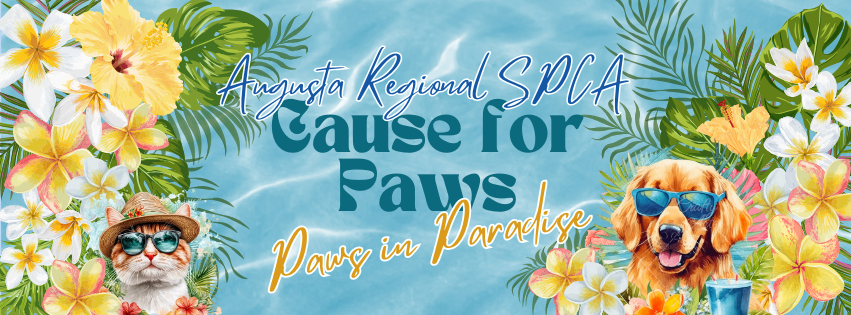 Auction – Cause For Paws