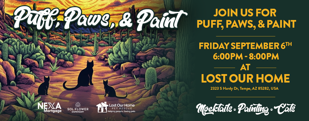 Puff, Paws & Paint with Lost Our Home & Sol Flower | Lost Our Home Pet Rescue