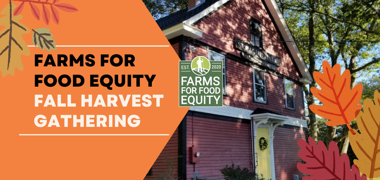 Fall Harvest Gathering | Farms for Food Equity