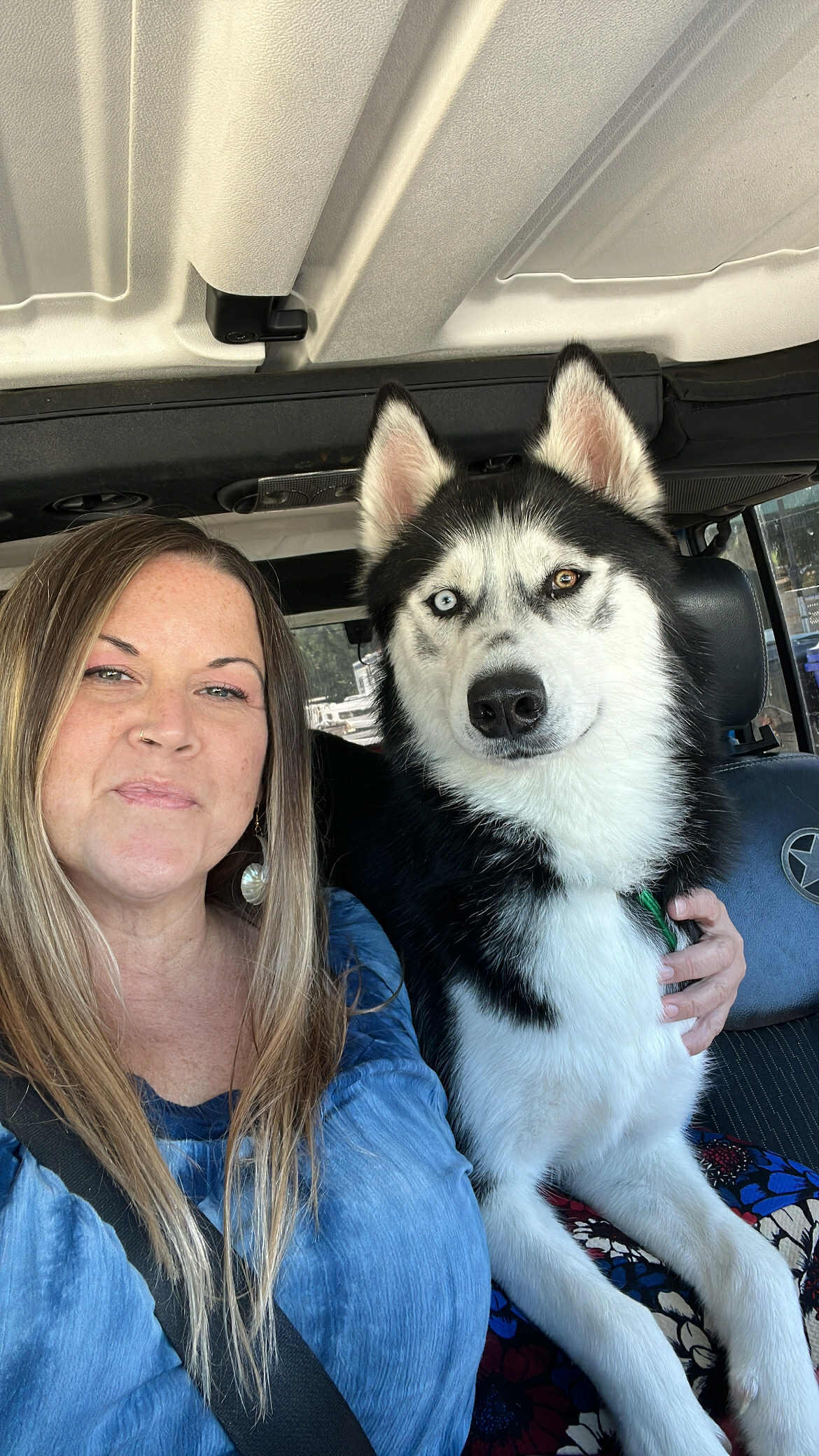 Volt Has been rescued by Woof Tribe