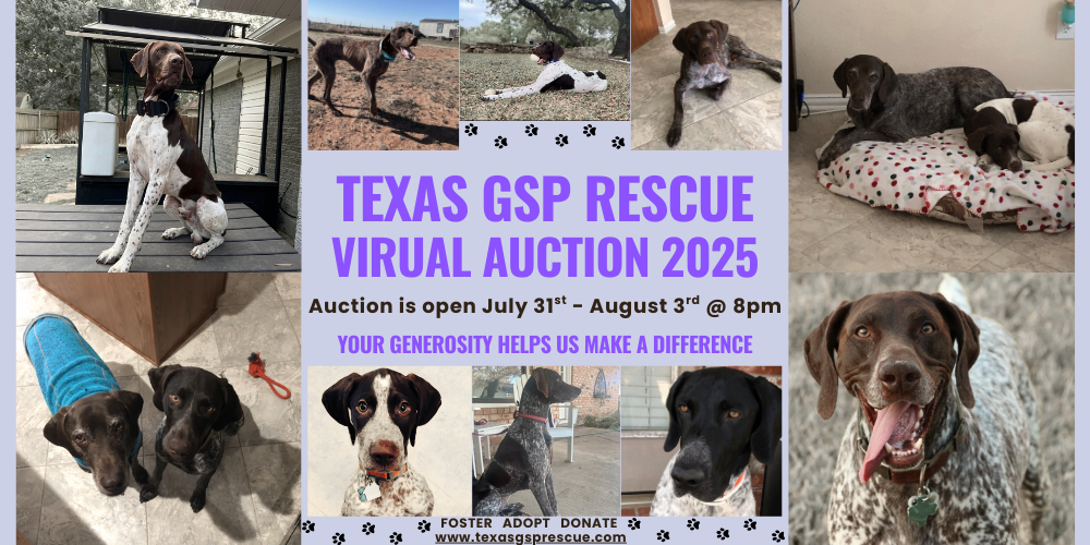 TX GSP Rescue Virtual Auction 2025