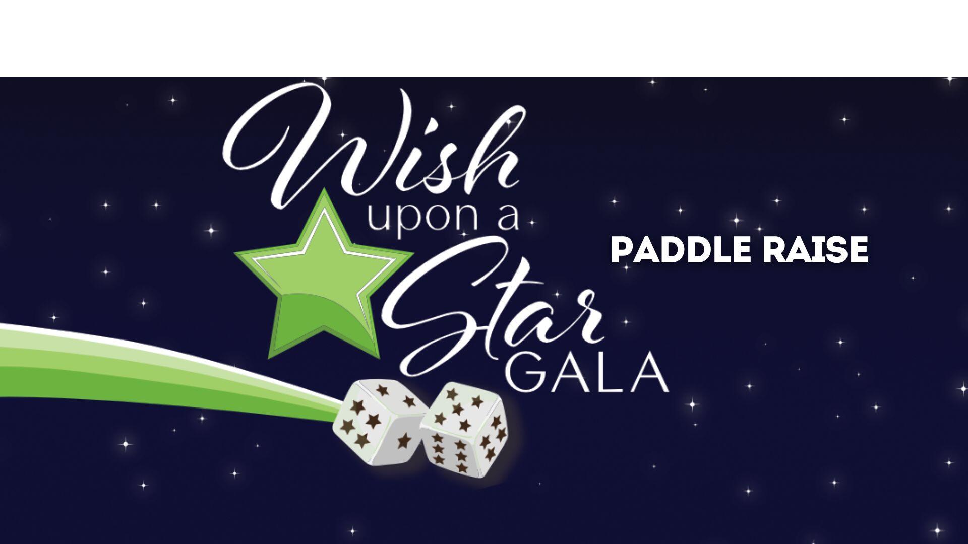 FY25 - Wish Upon A Star Paddle Raise | Connect With A Wish, Inc.