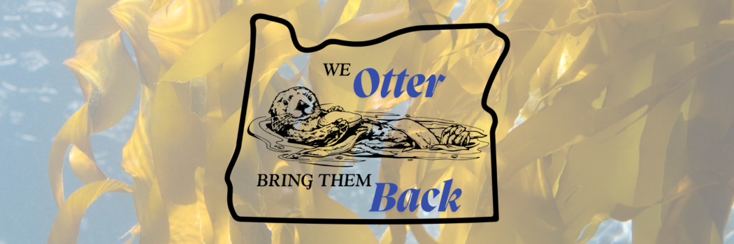 We Otter Bring Them Back to Oregon! | Elakha Alliance
