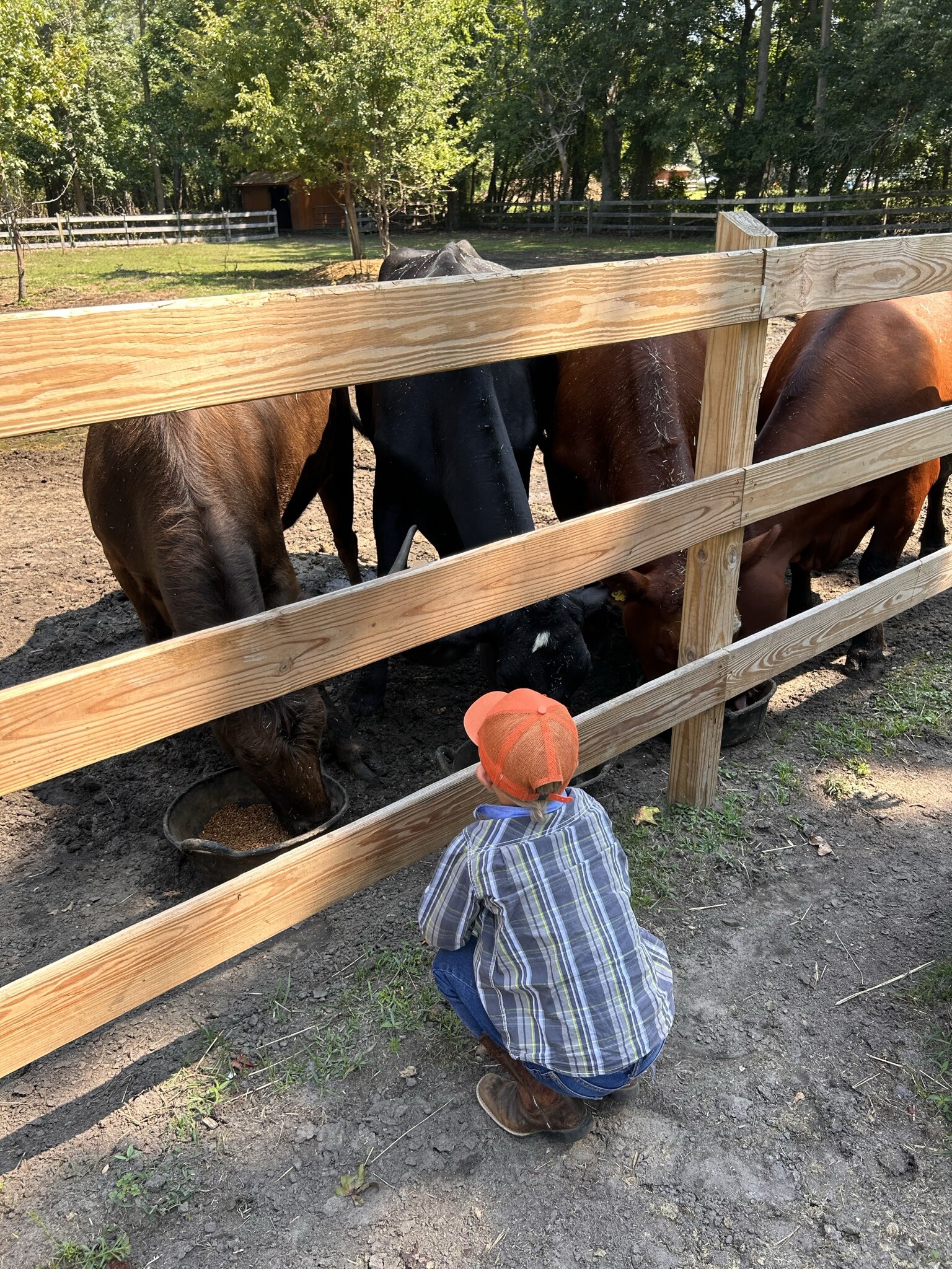 Our Not So Ordinary Farm