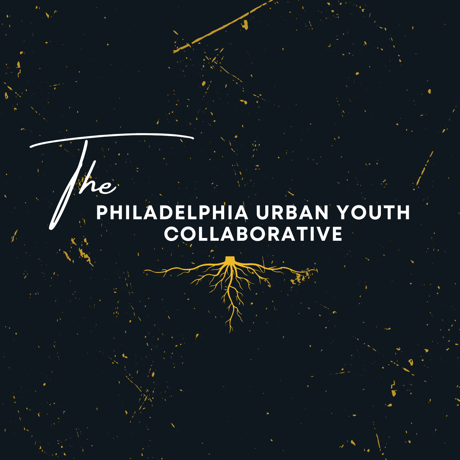 Philadelphia Urban Youth Collaborative