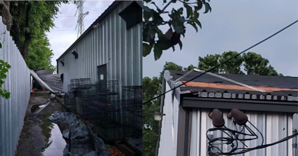 Animal Rescue Facility Storm Damage