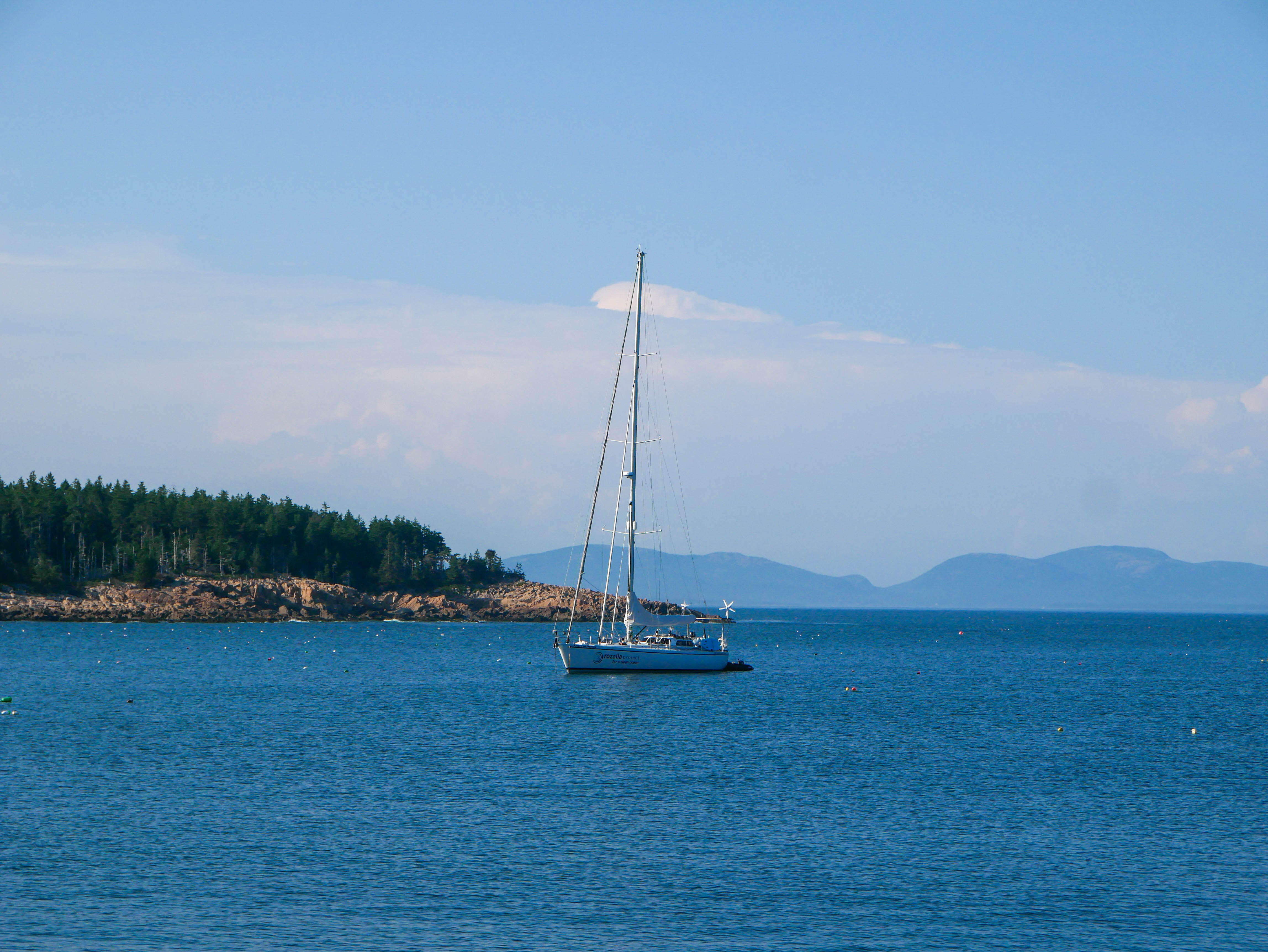 Become an Ocean Protector | ROZALIA PROJECT