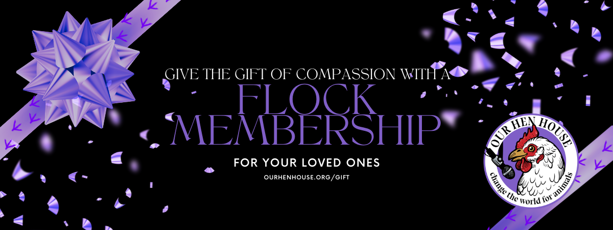 Give the gift of the Flock!