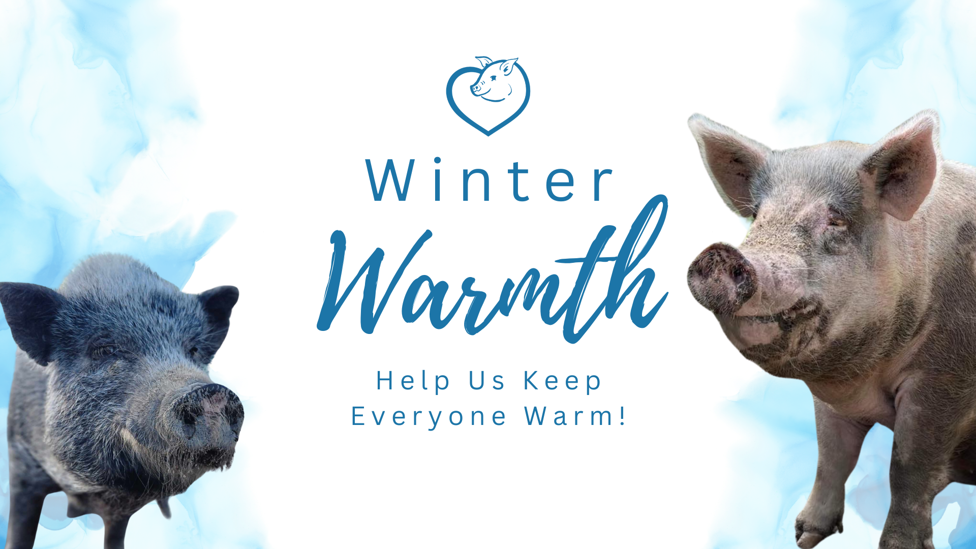 Winter Warmth Rescue