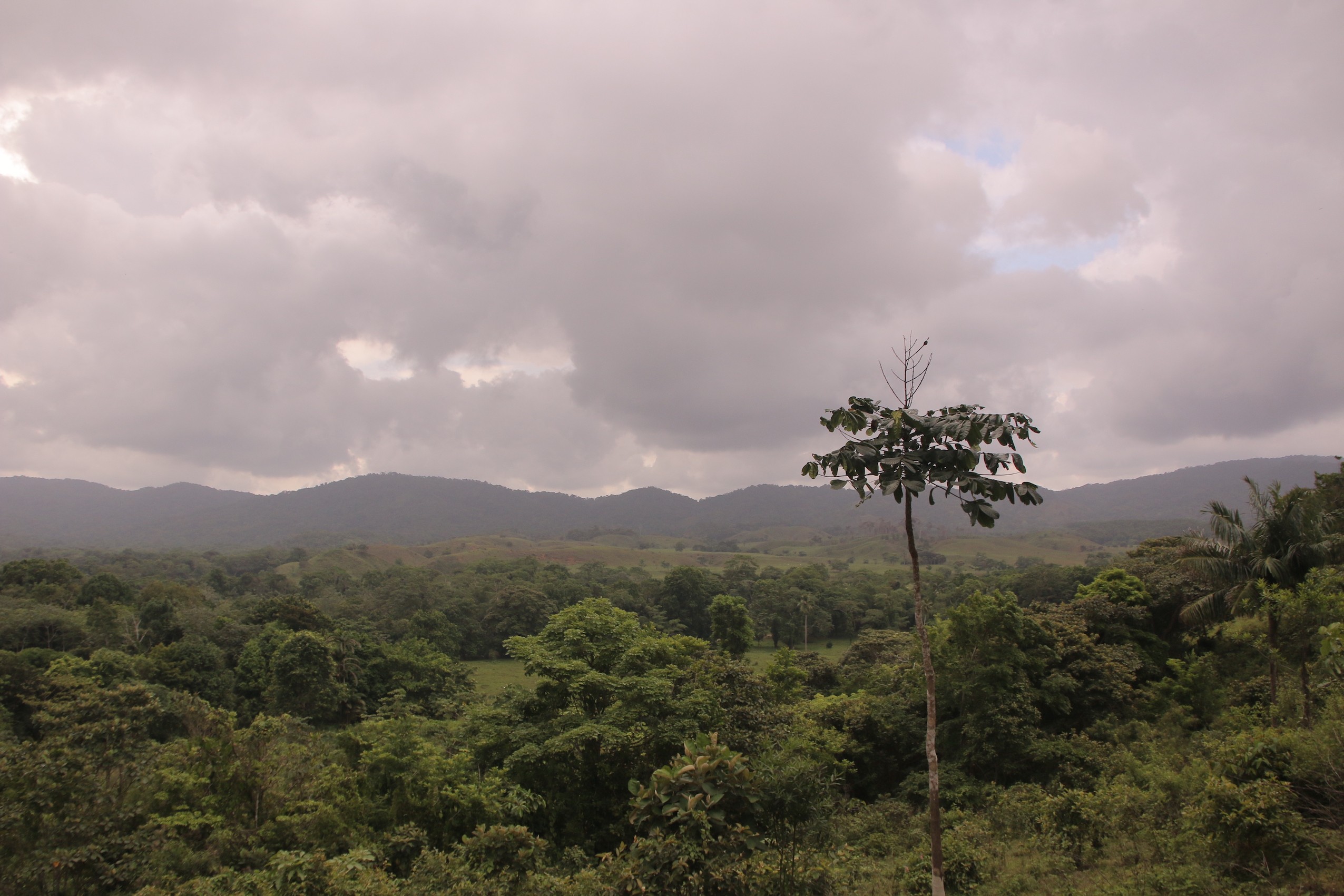 Mamini Valley Preserve
