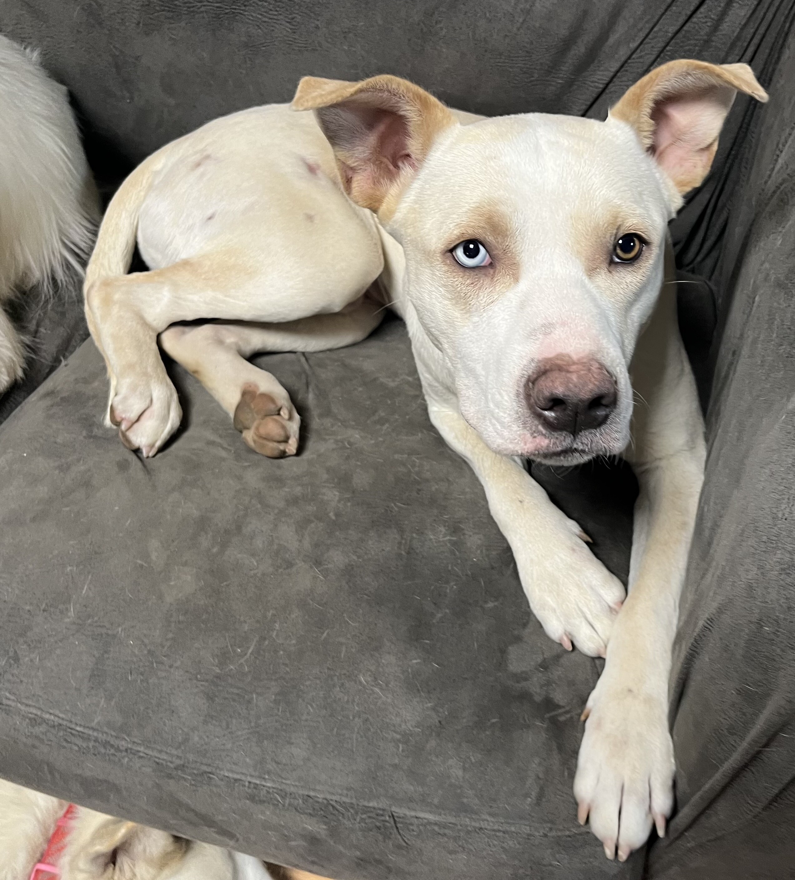 Katrina's Birthday Fundraiser