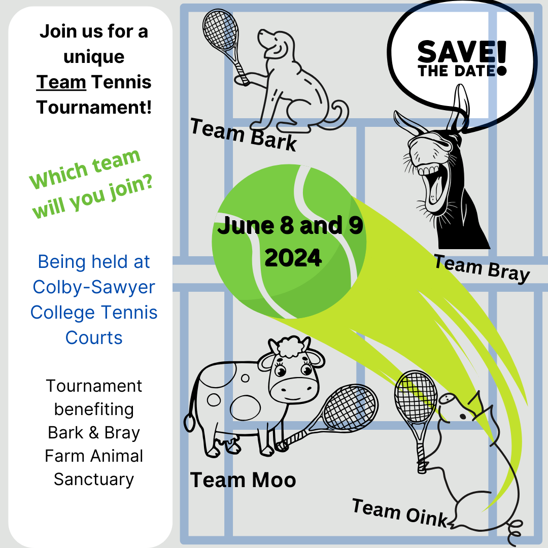 Team Bray: Bark & Bray Tennis Open