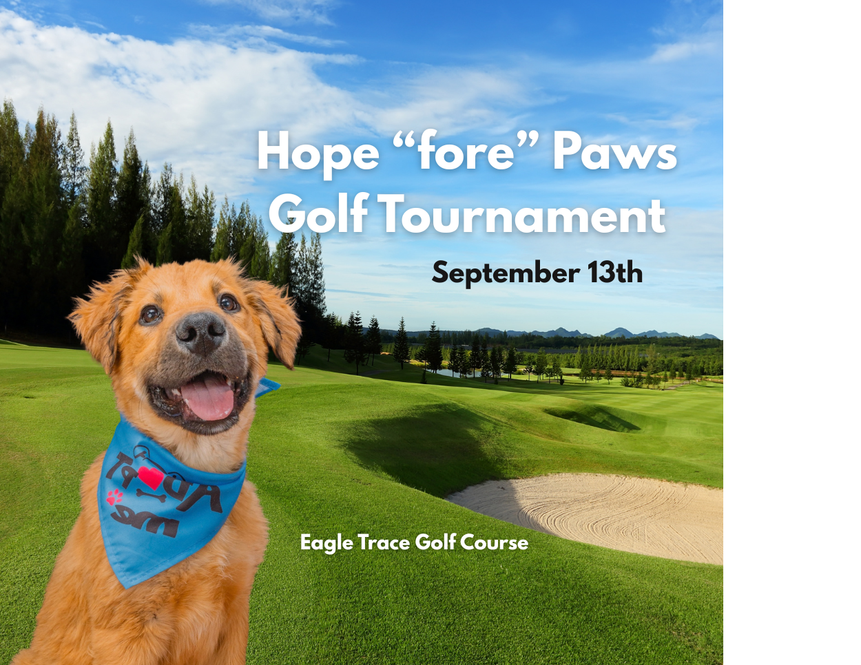 Hope " fore " Paws | Soul Dog Rescue