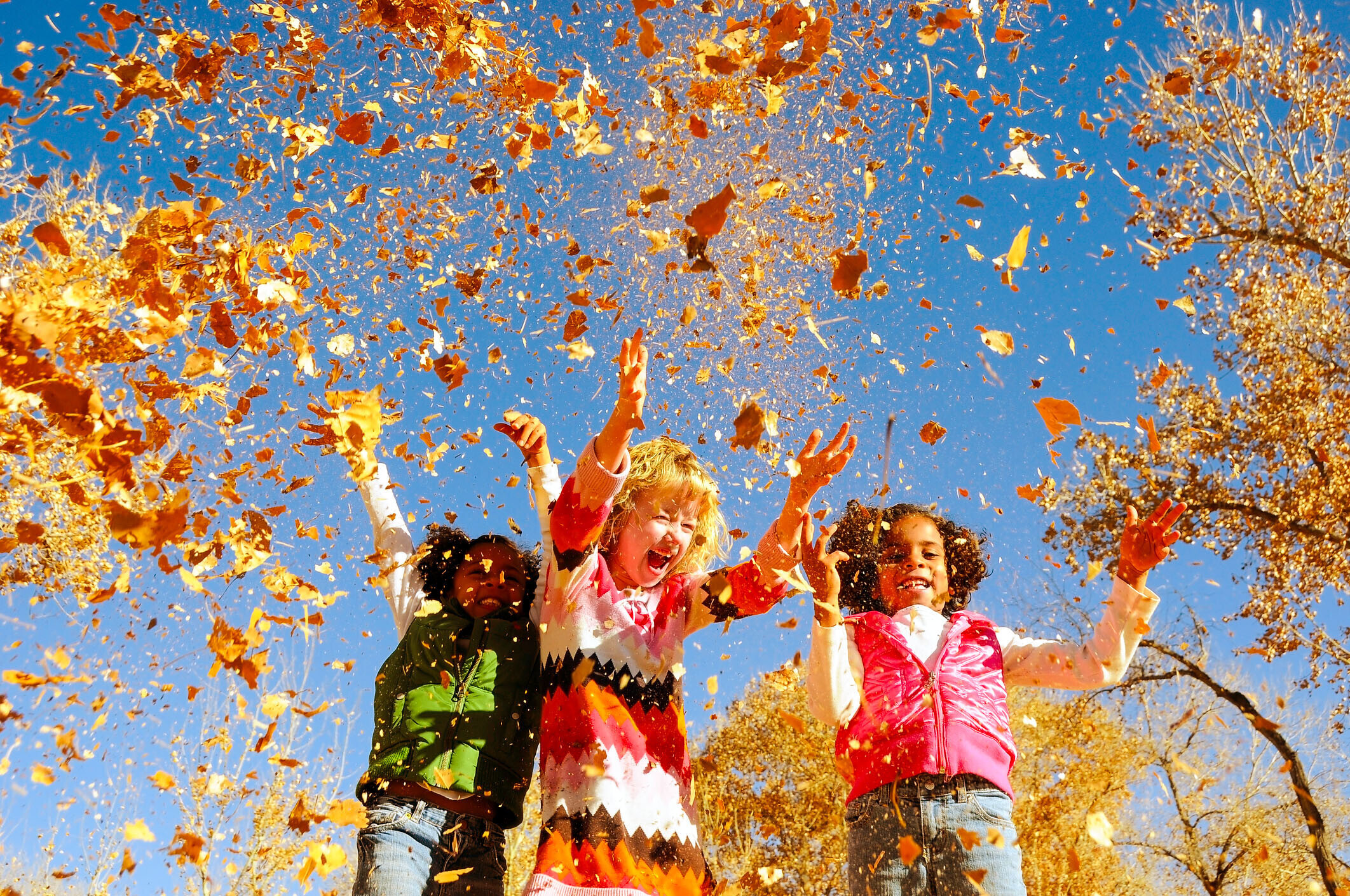 CCGC's Fall Fest 2023