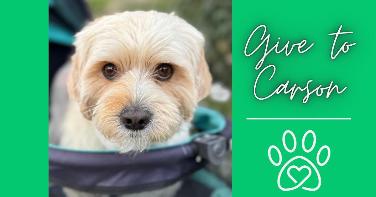 Help Carson Walk Again