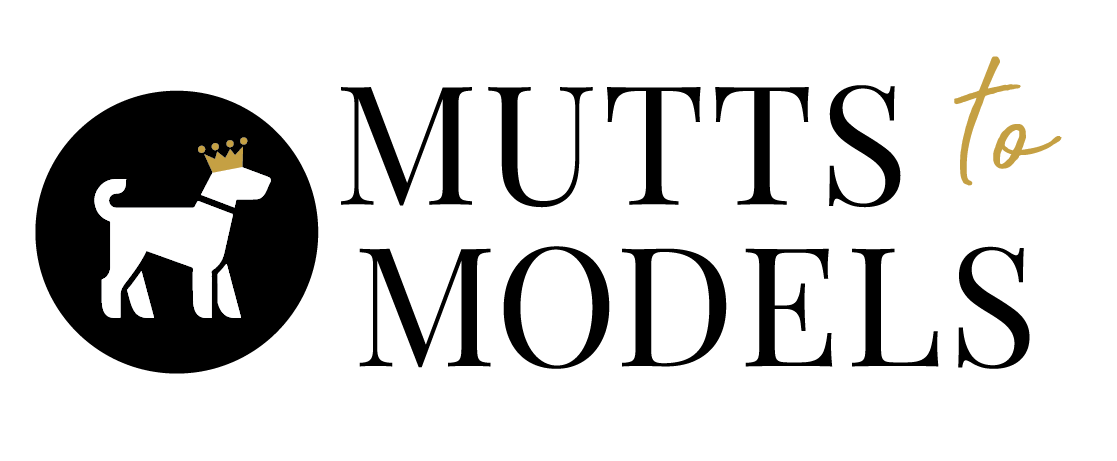 Mutts to Models 2024