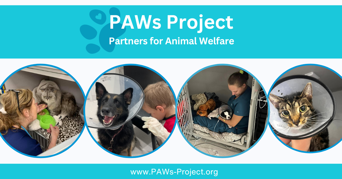 PAWs Project
