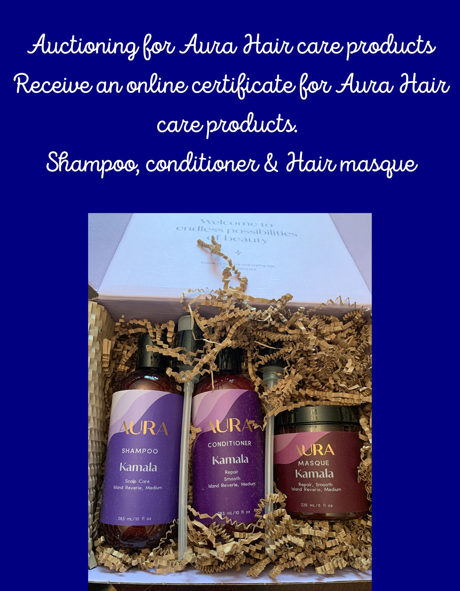 No Lost Food Auction